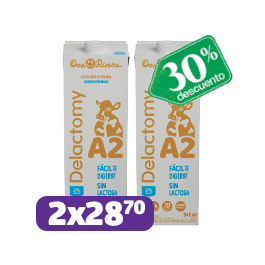 Leche Delactomy sin Lactosa tetrabrik UHT. Normal 25.30