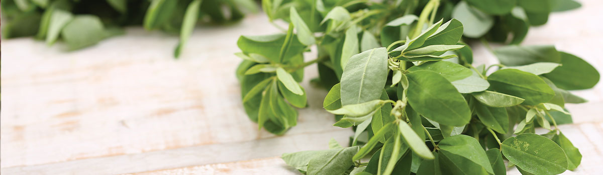 Supermercados La Torre